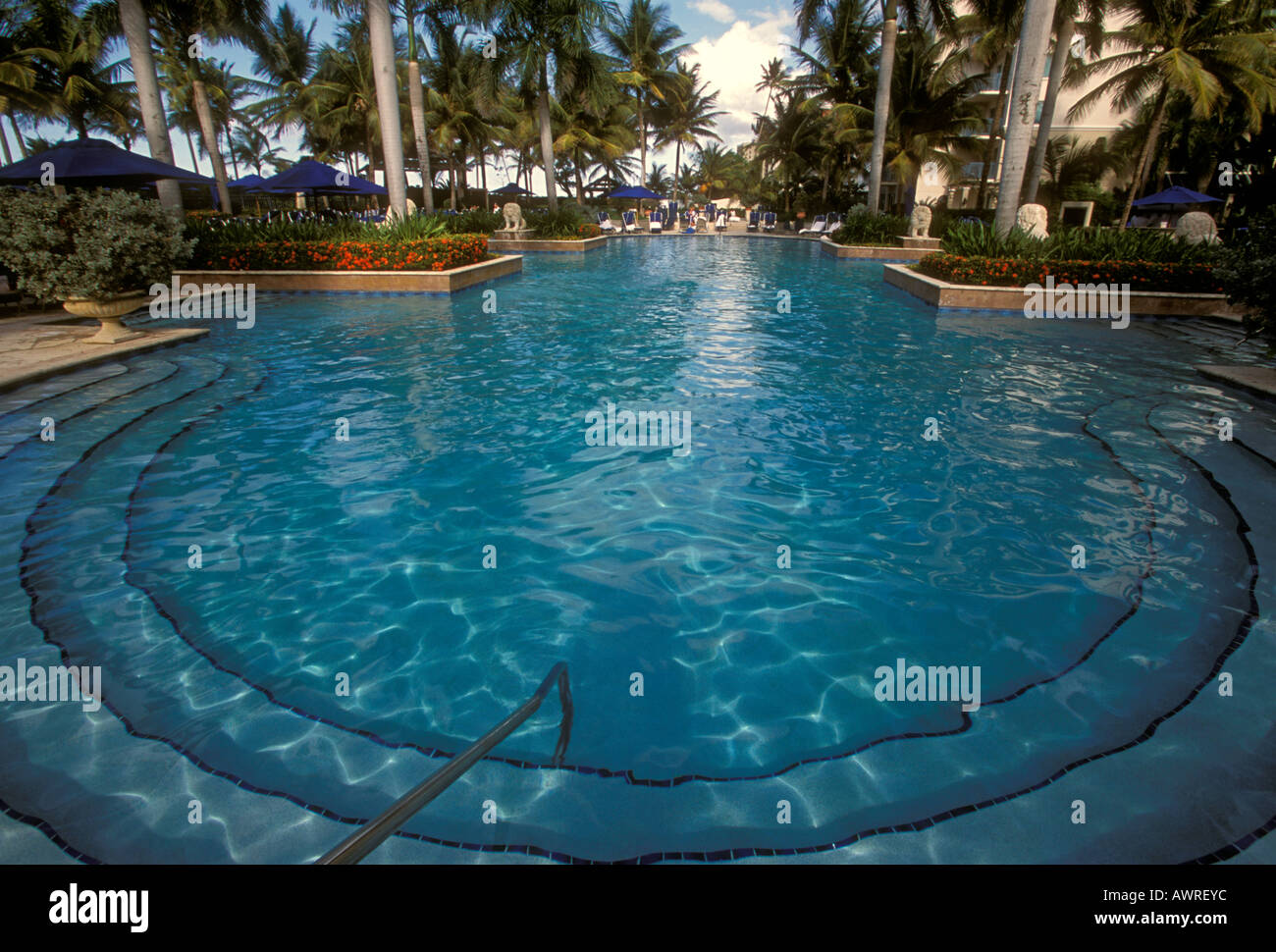 freshwater swimming pool, swimming pool, Ritz-Carlton San Juan Hotel ...