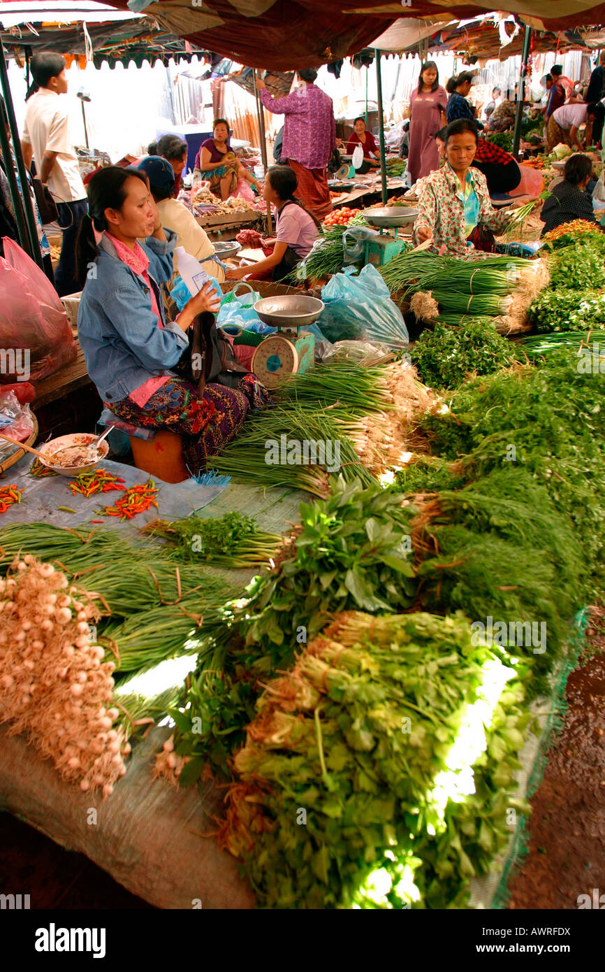 Laos Vientiane Talat Sao Morning Market vegetable stall Stock Photo - Alamy