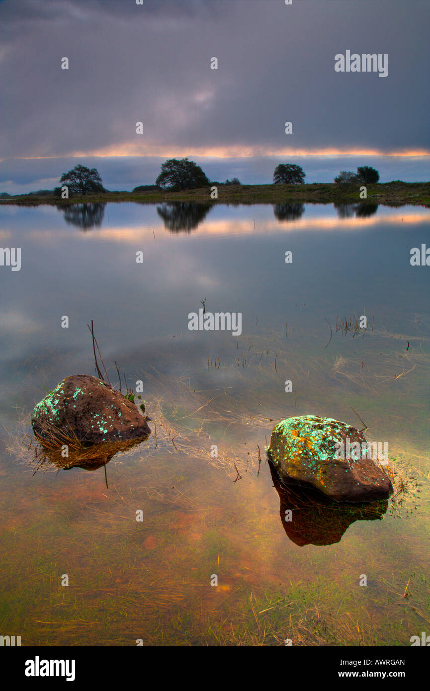 early morning at the vernal pools, santa rosa plateau ecological ...