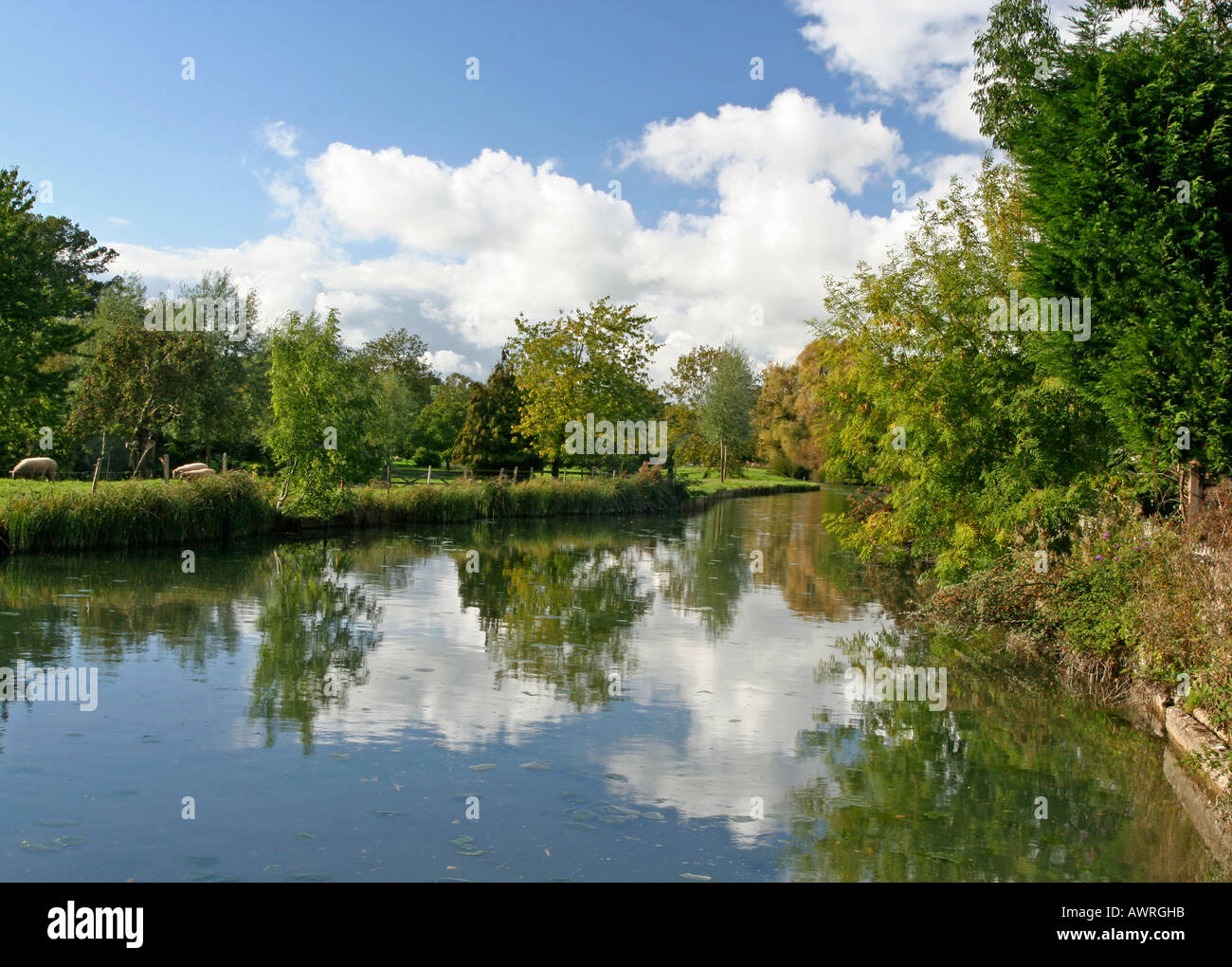 River Windrush, Lower Slaughter, Cotswolds, Gloucestershire, UK Stock ...