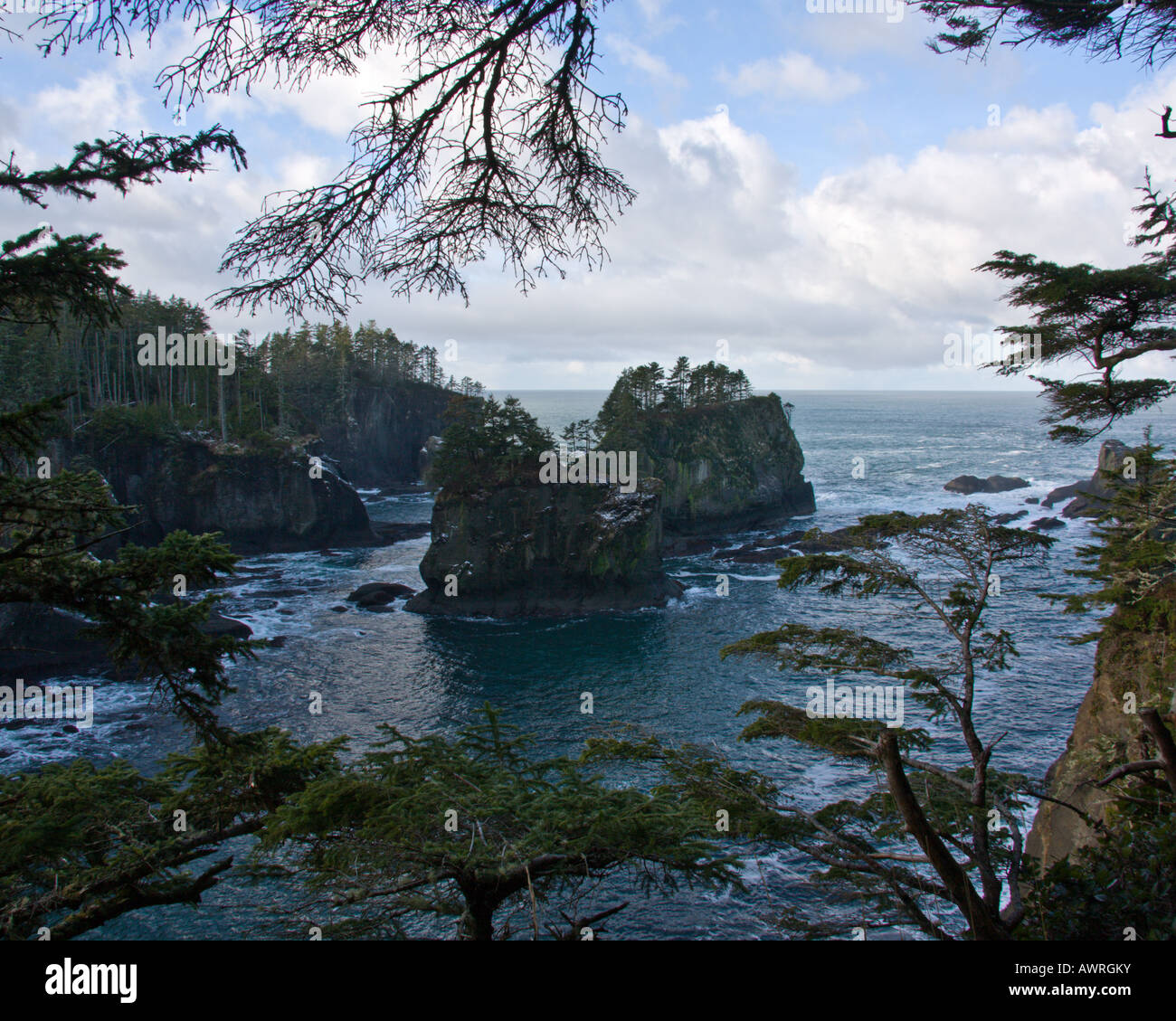 Cape Flattery Sea Stacks, Washington, USA Stock Photo - Alamy