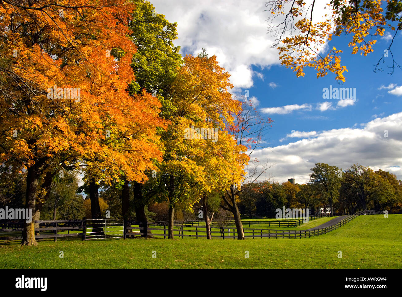 Fall Horse Farm Stock Photo - Alamy