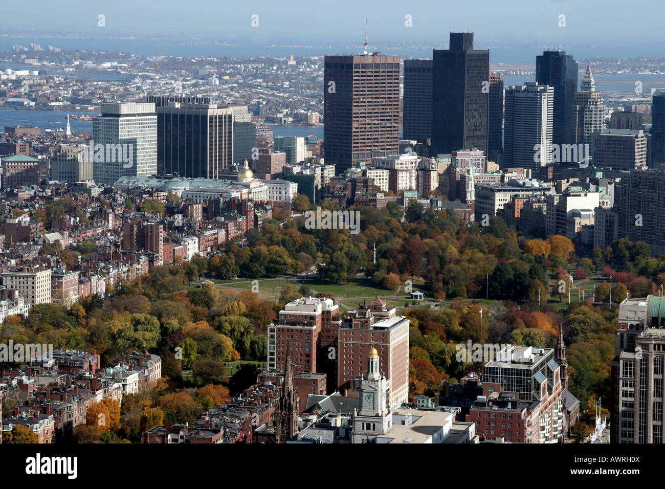 Aerial view of Boston Common and financial district Boston ...