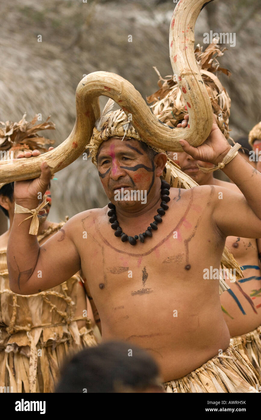 Ecuadorian warrior dancing traditional native costume demonstrating ...