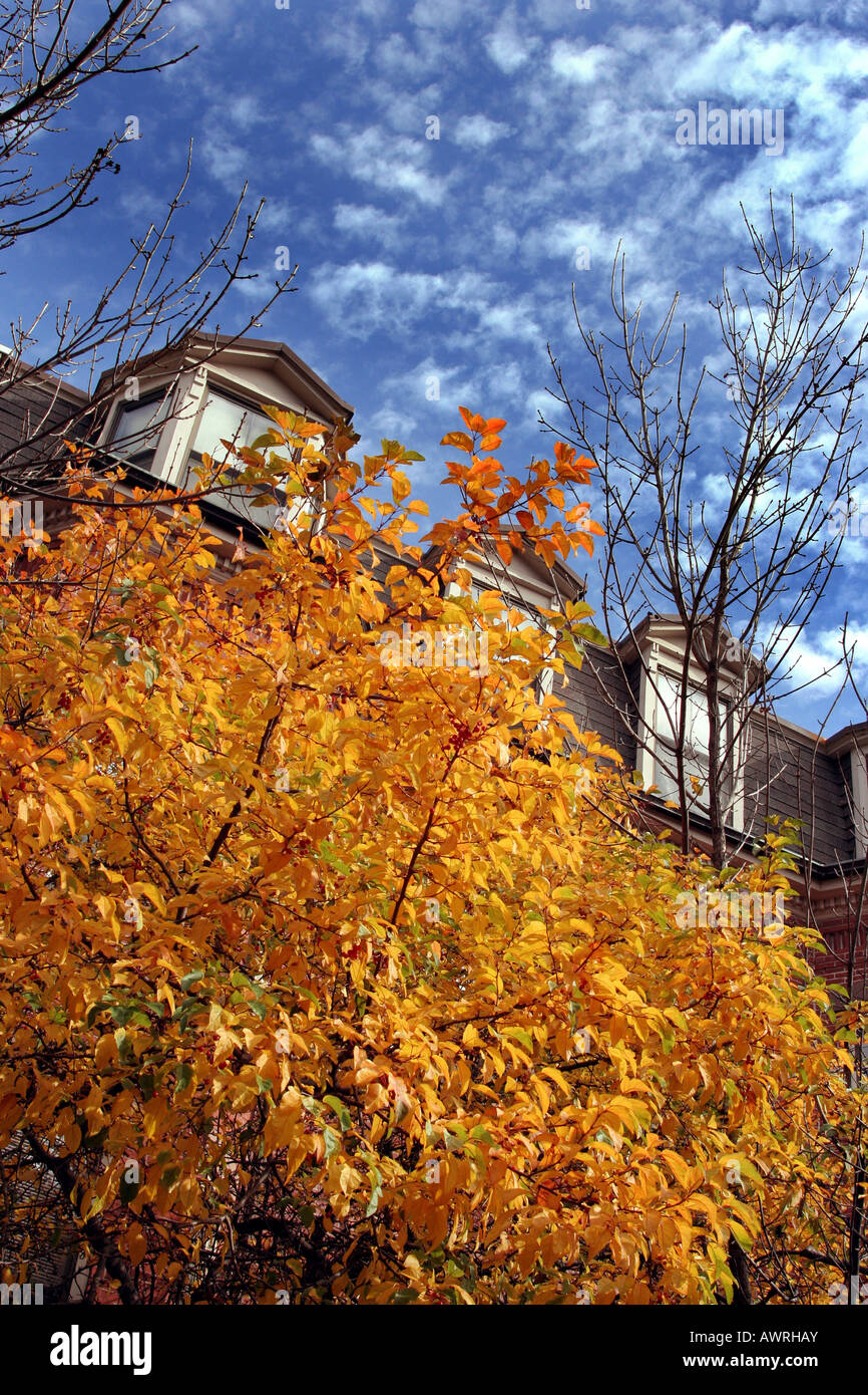 Boston south end victorian hi-res stock photography and images - Alamy