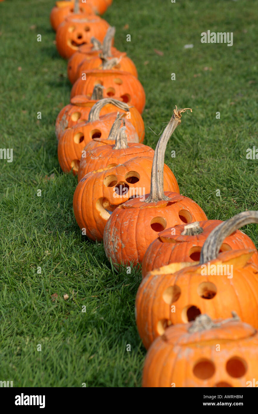 Boston fall festival hi-res stock photography and images - Alamy