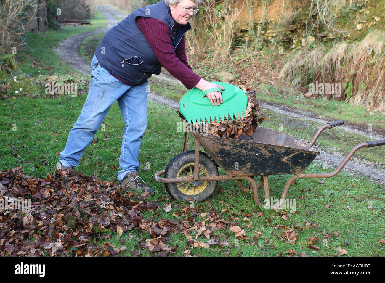MAKING LEAF MOULD USING LEAF GRABBERS TO FILL WHEELBARROW WITH DEAD ...