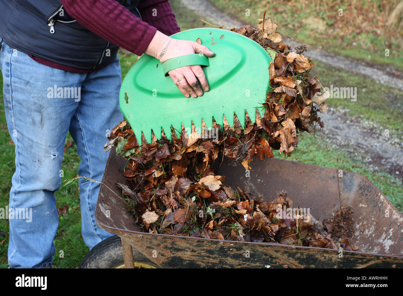 MAKING LEAF MOULD USING LEAF GRABBERS TO FILL WHEELBARROW WITH DEAD ...