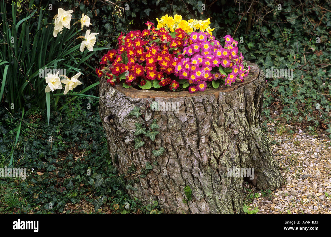 Log planter hi-res stock photography and images - Alamy