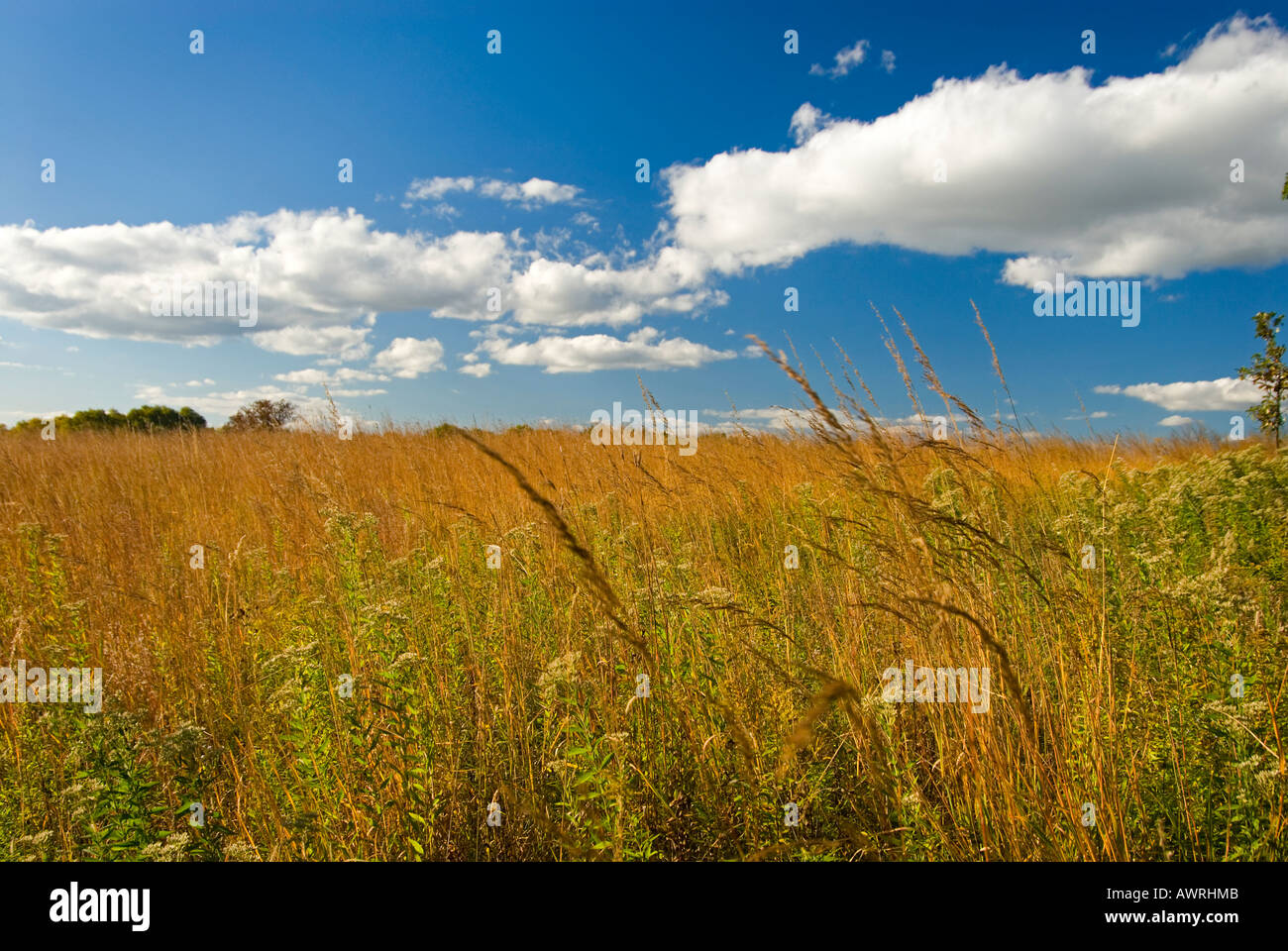 Restore prairie land hi-res stock photography and images - Alamy
