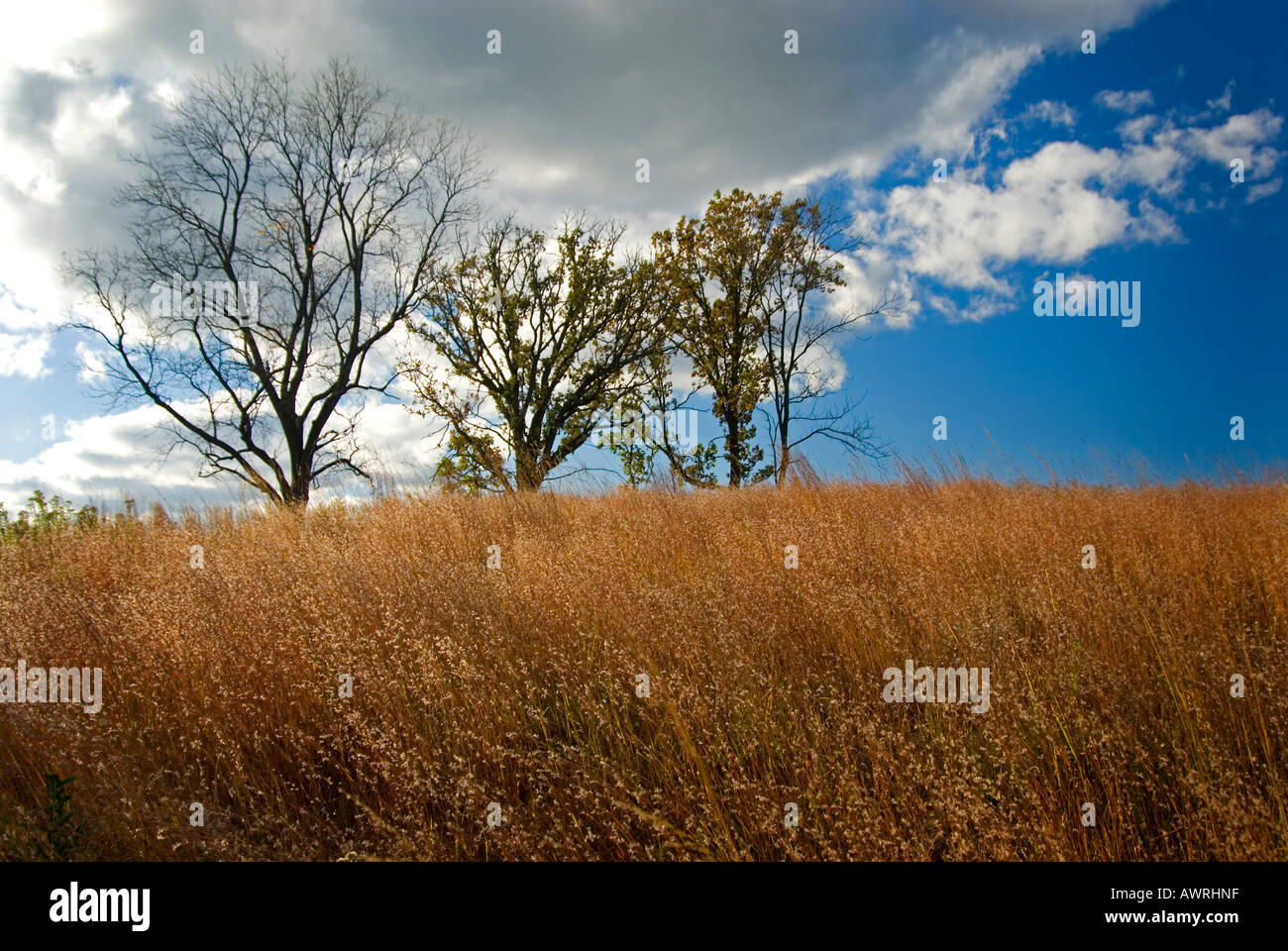 Restore prairie land hi-res stock photography and images - Alamy
