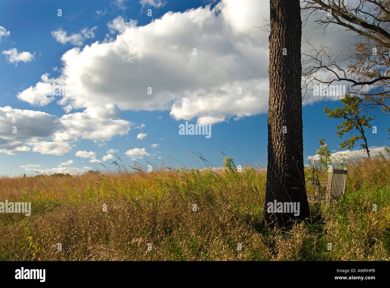 Restore prairie land hi-res stock photography and images - Alamy