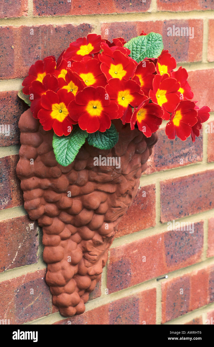Plant container mounted wall hi-res stock photography and images - Alamy