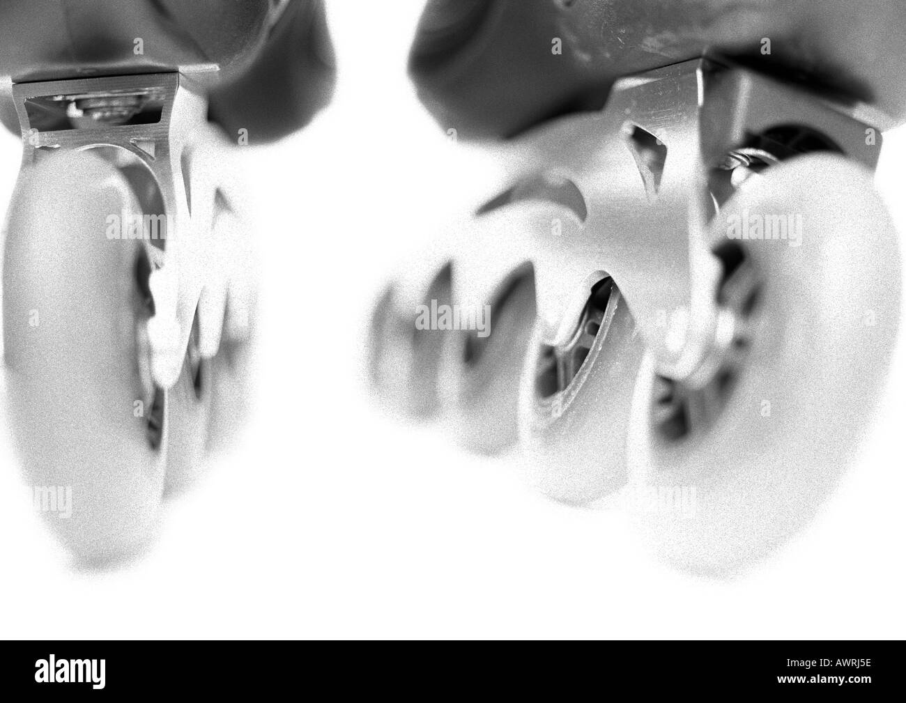 Line up of people rear view Black and White Stock Photos & Images - Alamy