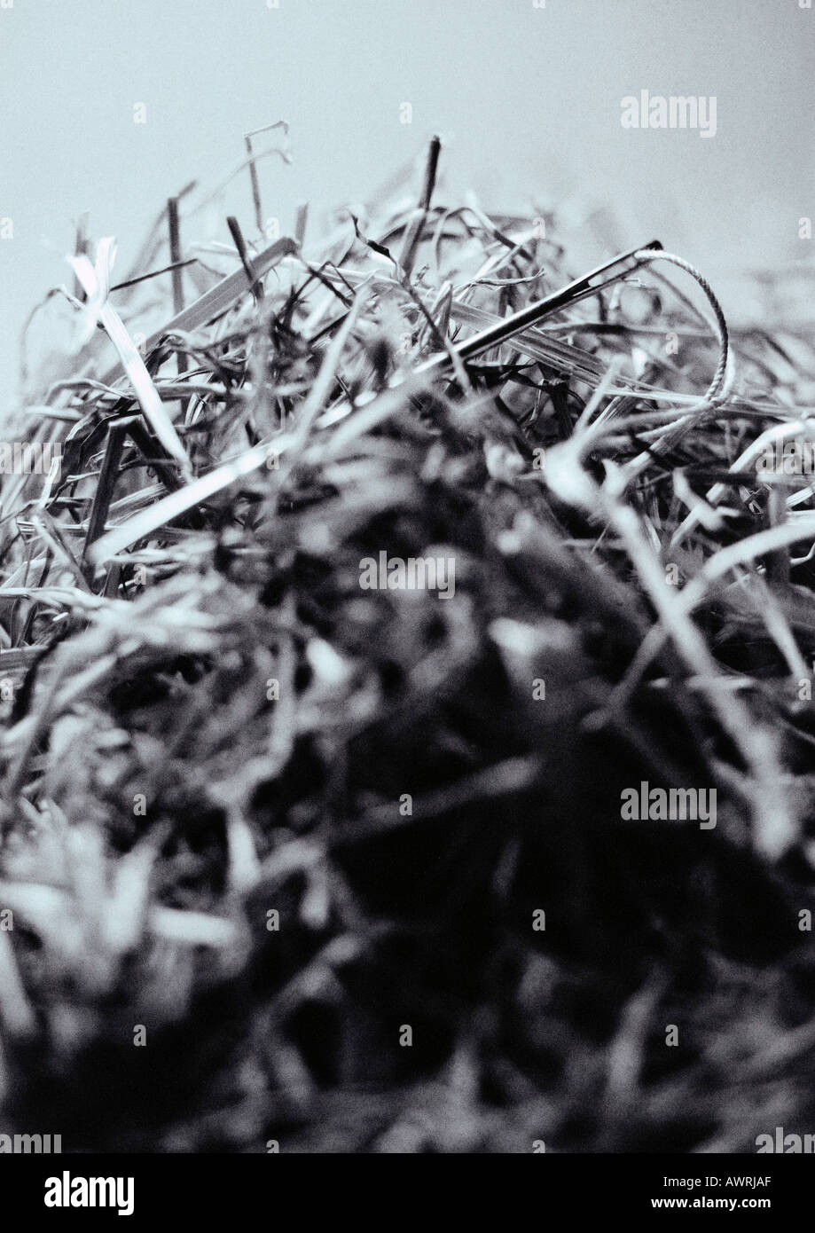 Hay bunches hi-res stock photography and images - Alamy