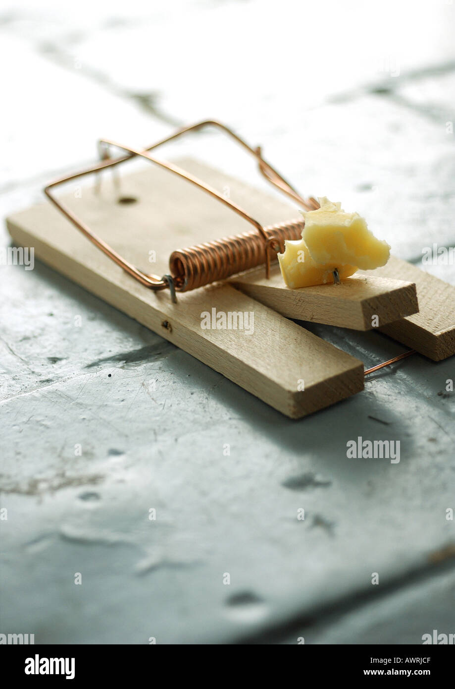 Mousetrap mousetraps mouse trap traps hi-res stock photography and ...