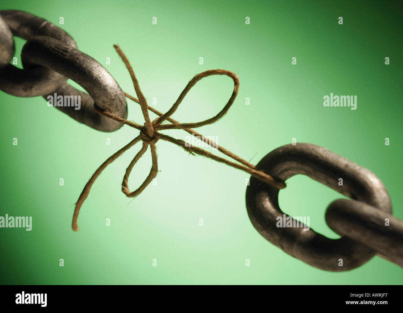 Two temporal hi-res stock photography and images - Alamy
