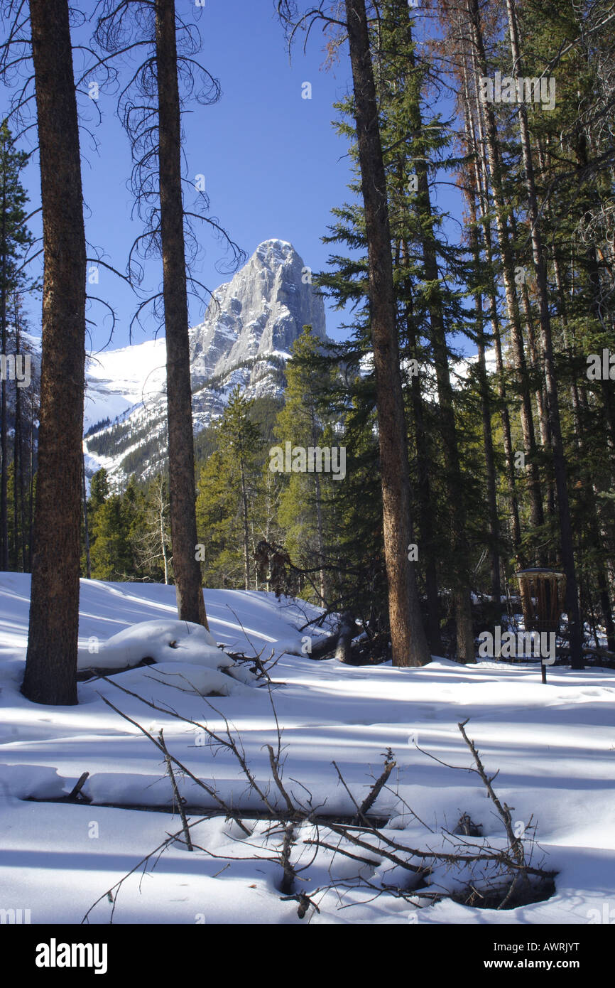 Wildwood alberta hi-res stock photography and images - Alamy