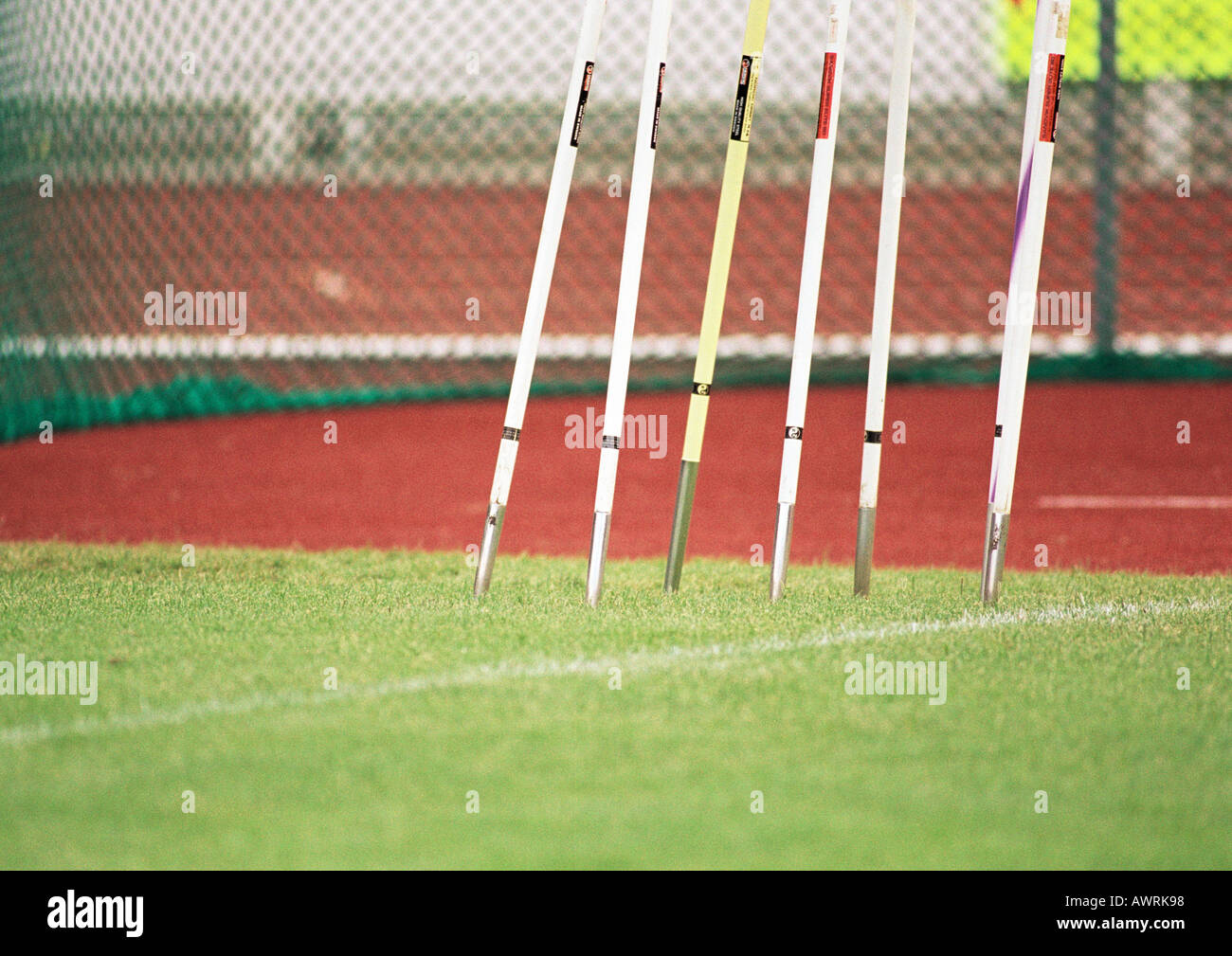Javelins prepared for competition Stock Photo - Alamy