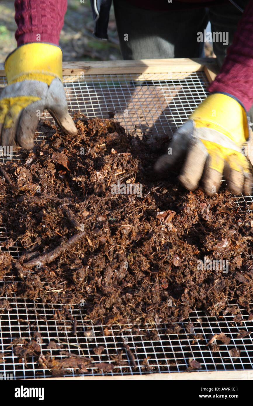 Gently rub hi-res stock photography and images - Alamy