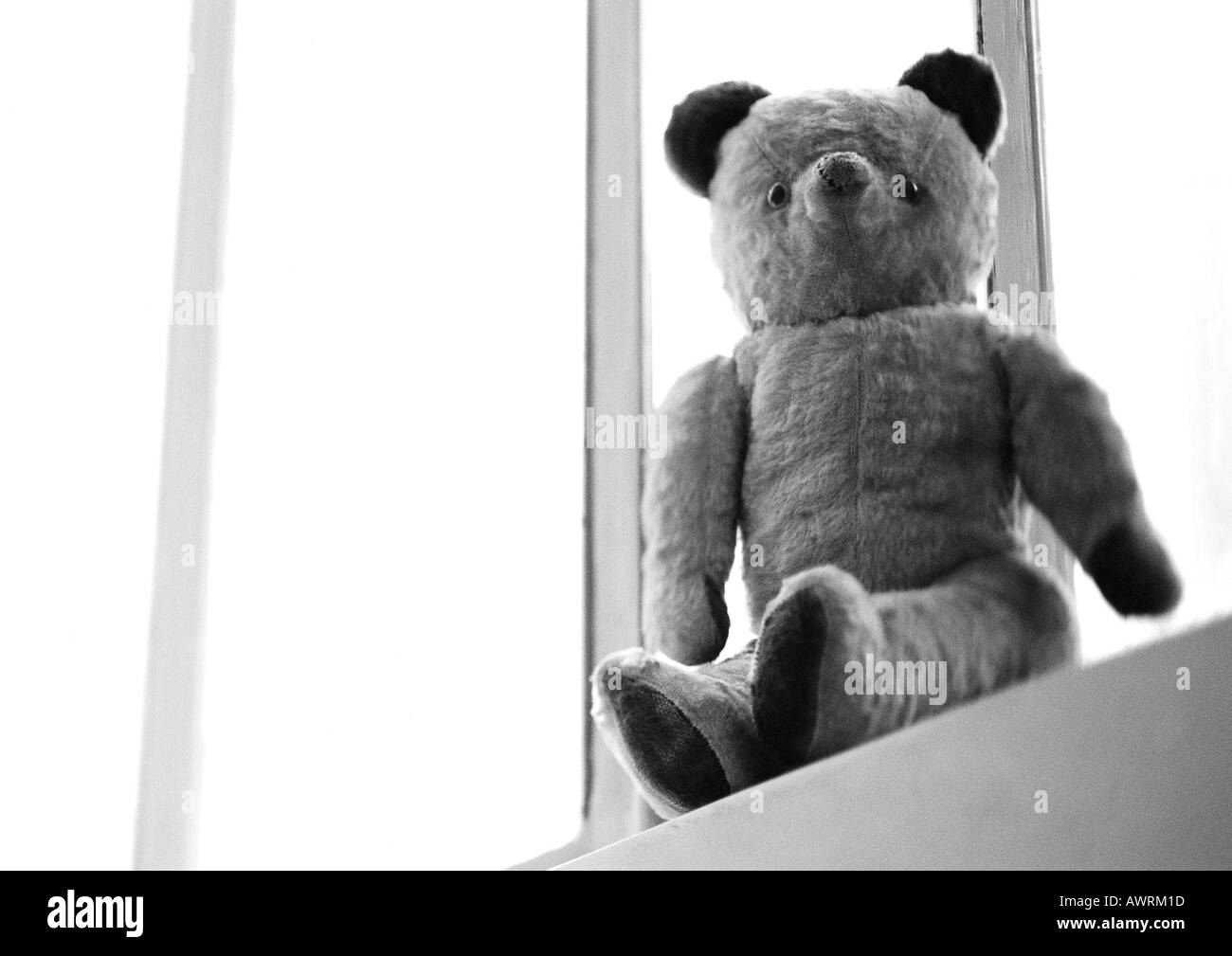 Teddy bear, low angle view, b&w Stock Photo - Alamy