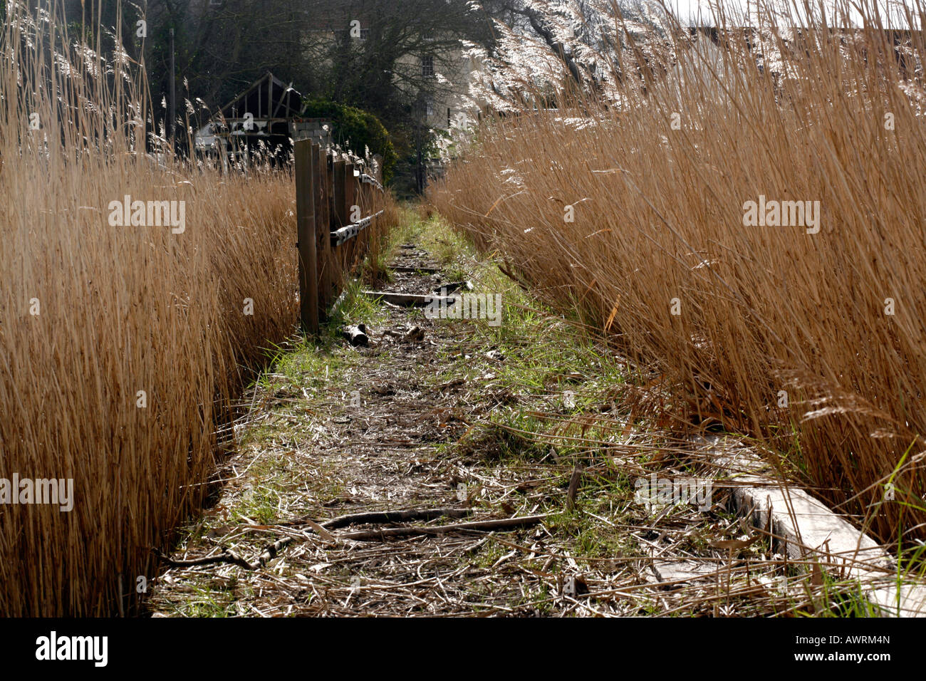 Site of the Aust ferry terminal on the English side of the River Severn ...