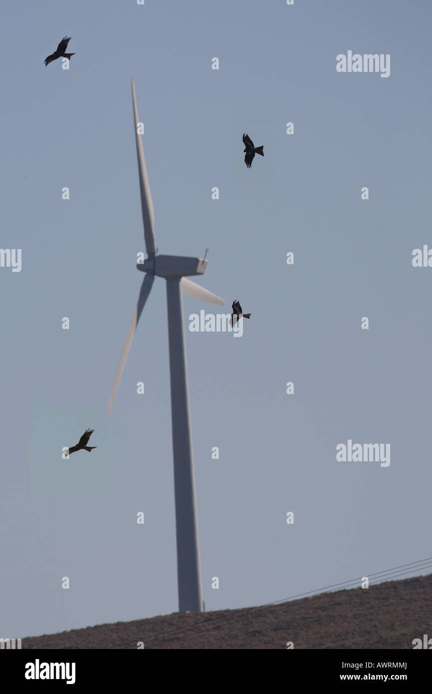 Red kite wind turbine hi-res stock photography and images - Alamy