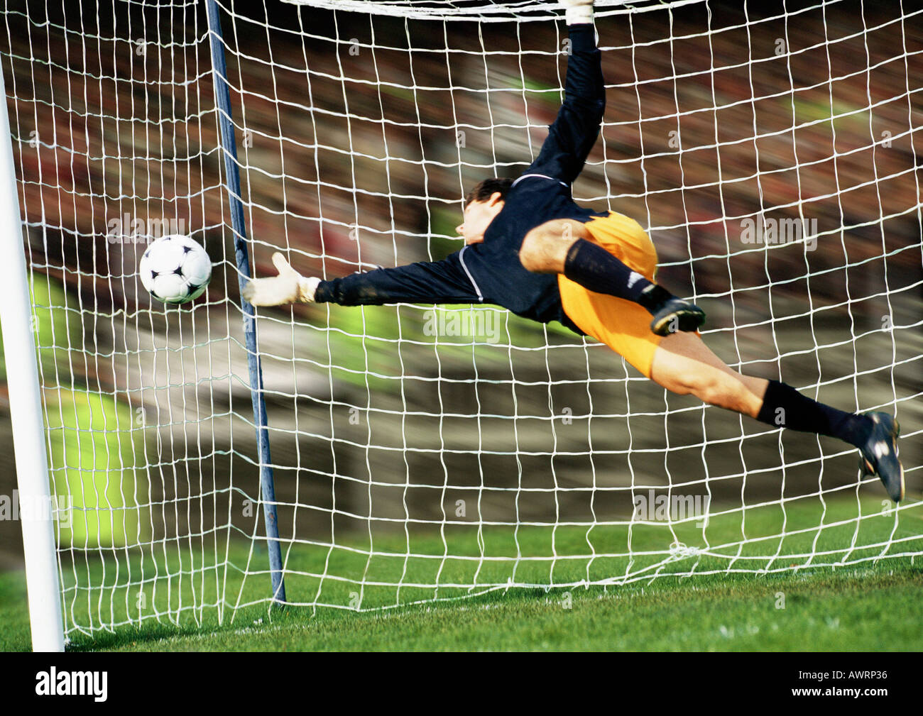 Soccer lawns hi-res stock photography and images - Alamy