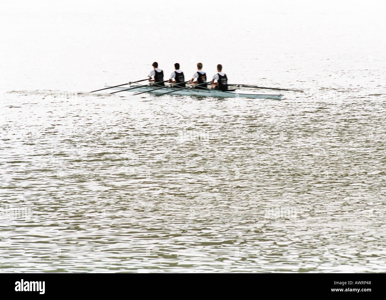 Four teenage boys rowing crew in boat, b&w Stock Photo - Alamy
