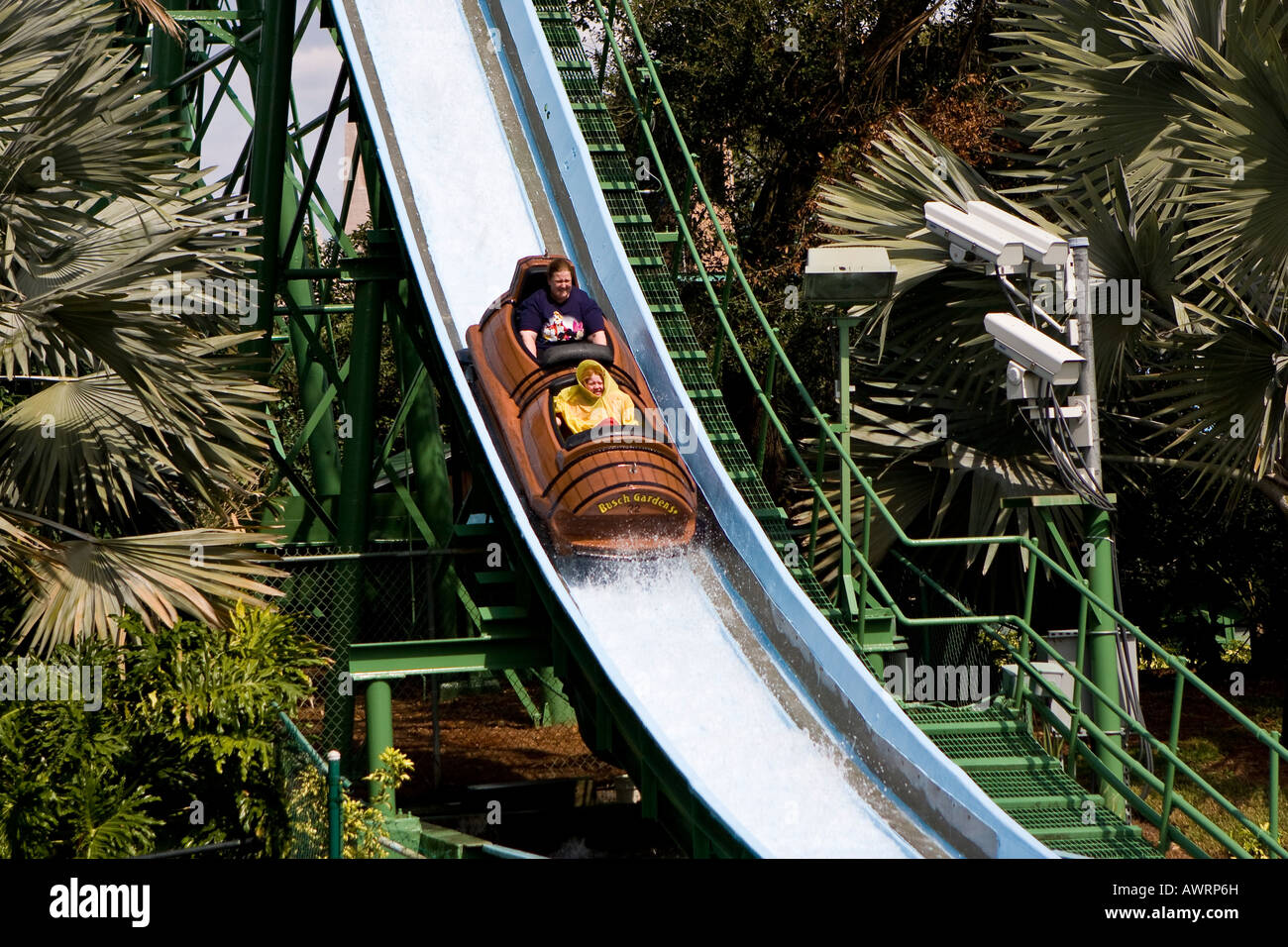 Log Flume Ride at Busch Gardens Florida USA Stock Photo - Alamy