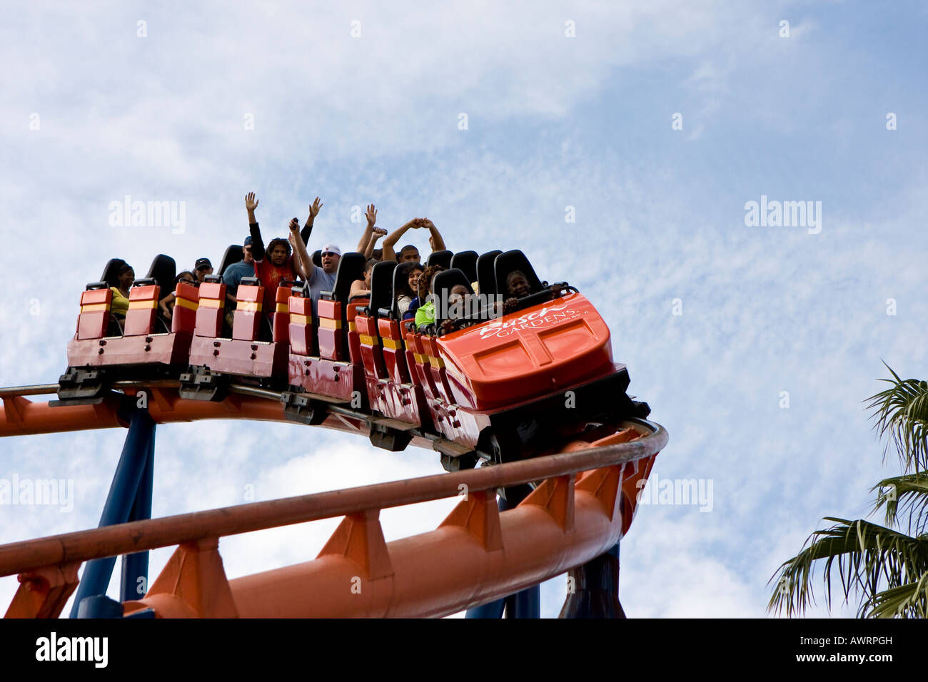 Scorpion roller coaster busch hi-res stock photography and images - Alamy