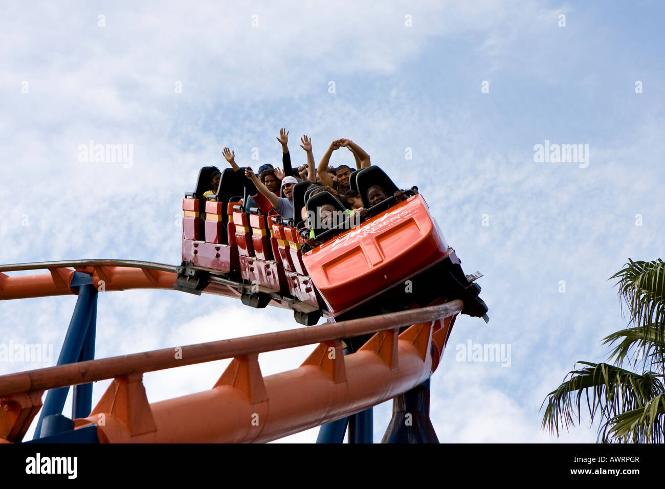 Scorpion roller coaster busch hi-res stock photography and images - Alamy