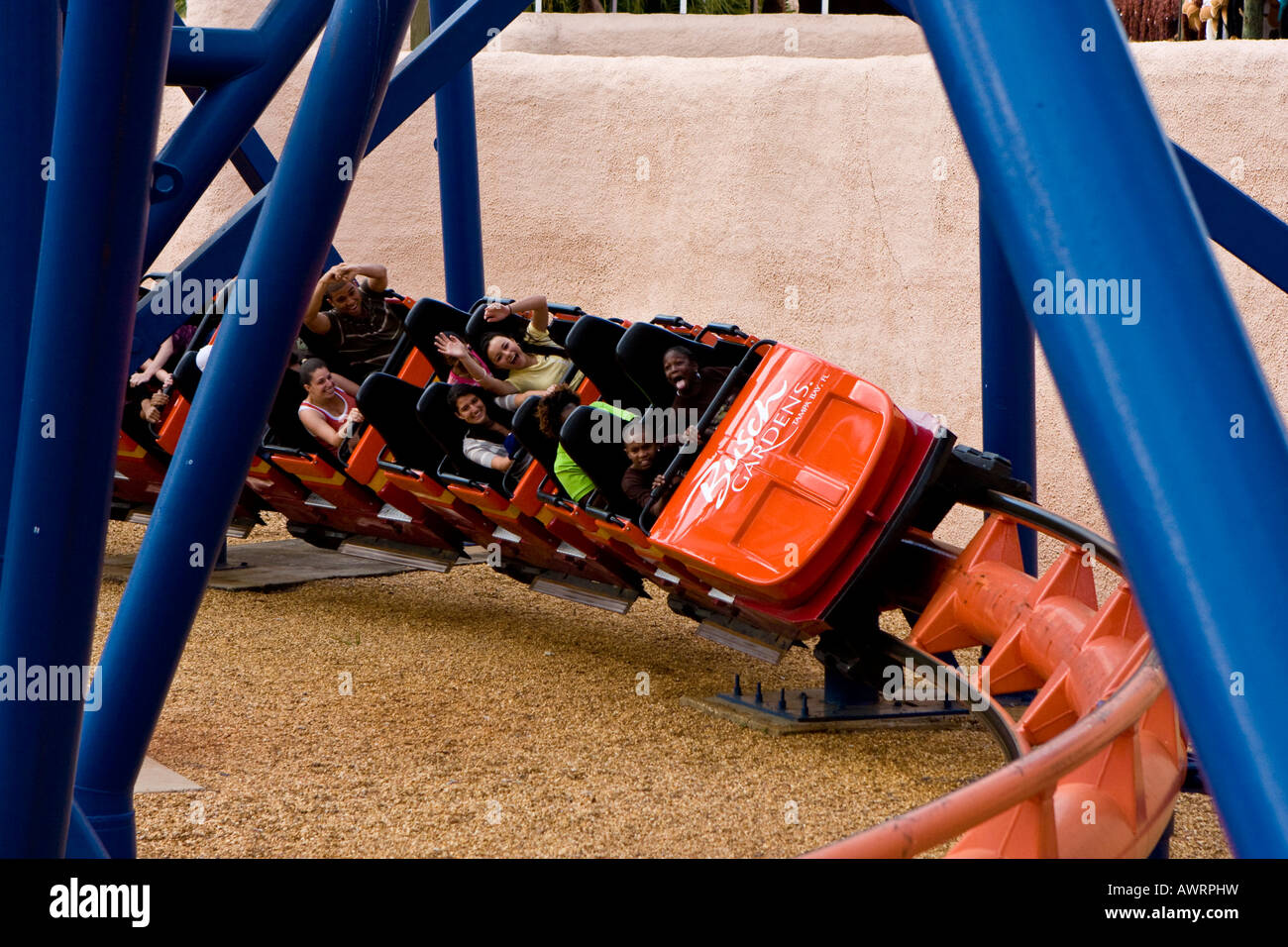 Scorpion roller coaster busch hi-res stock photography and images - Alamy