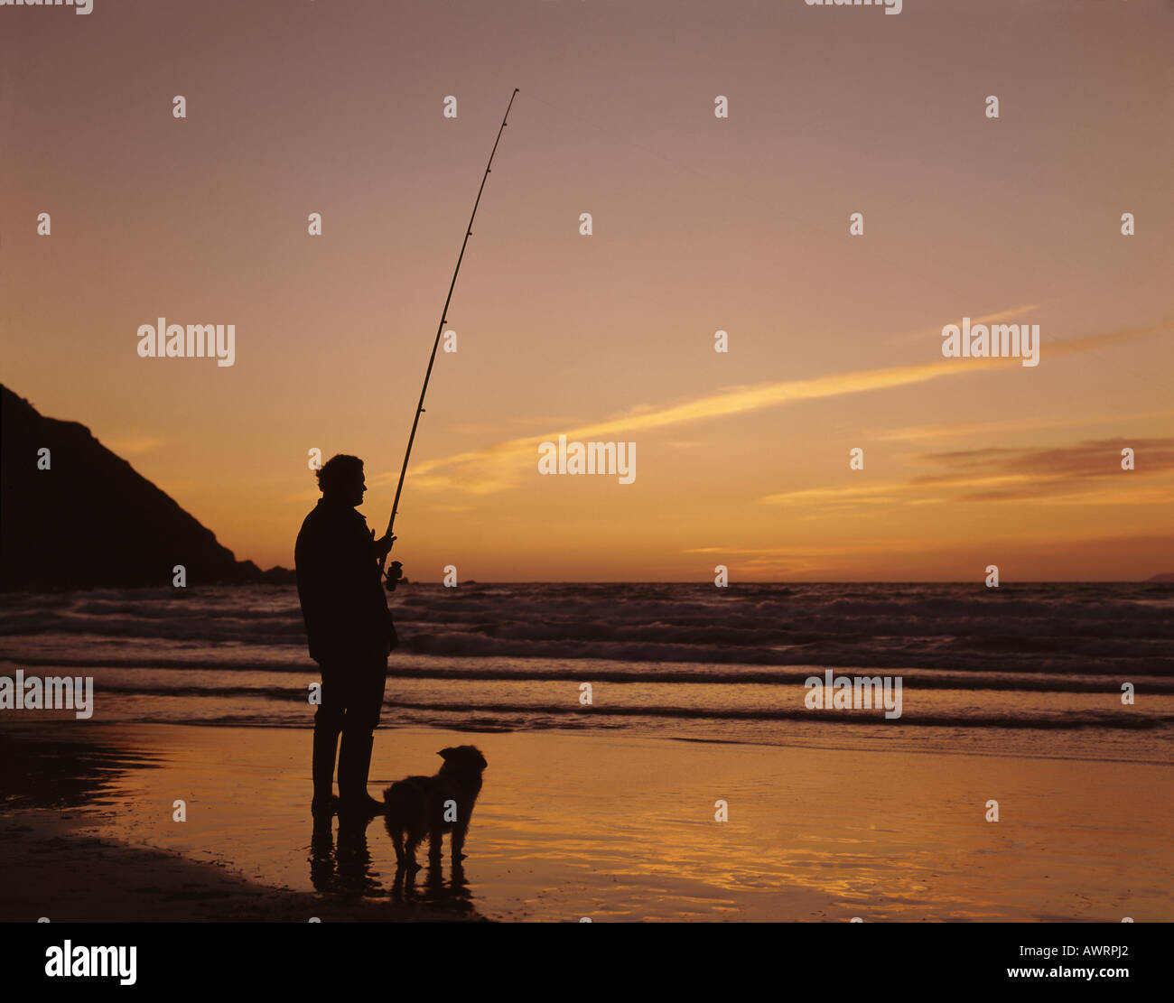 Fly fisherman with rod in hand and dog at his side at water’s edge in ...