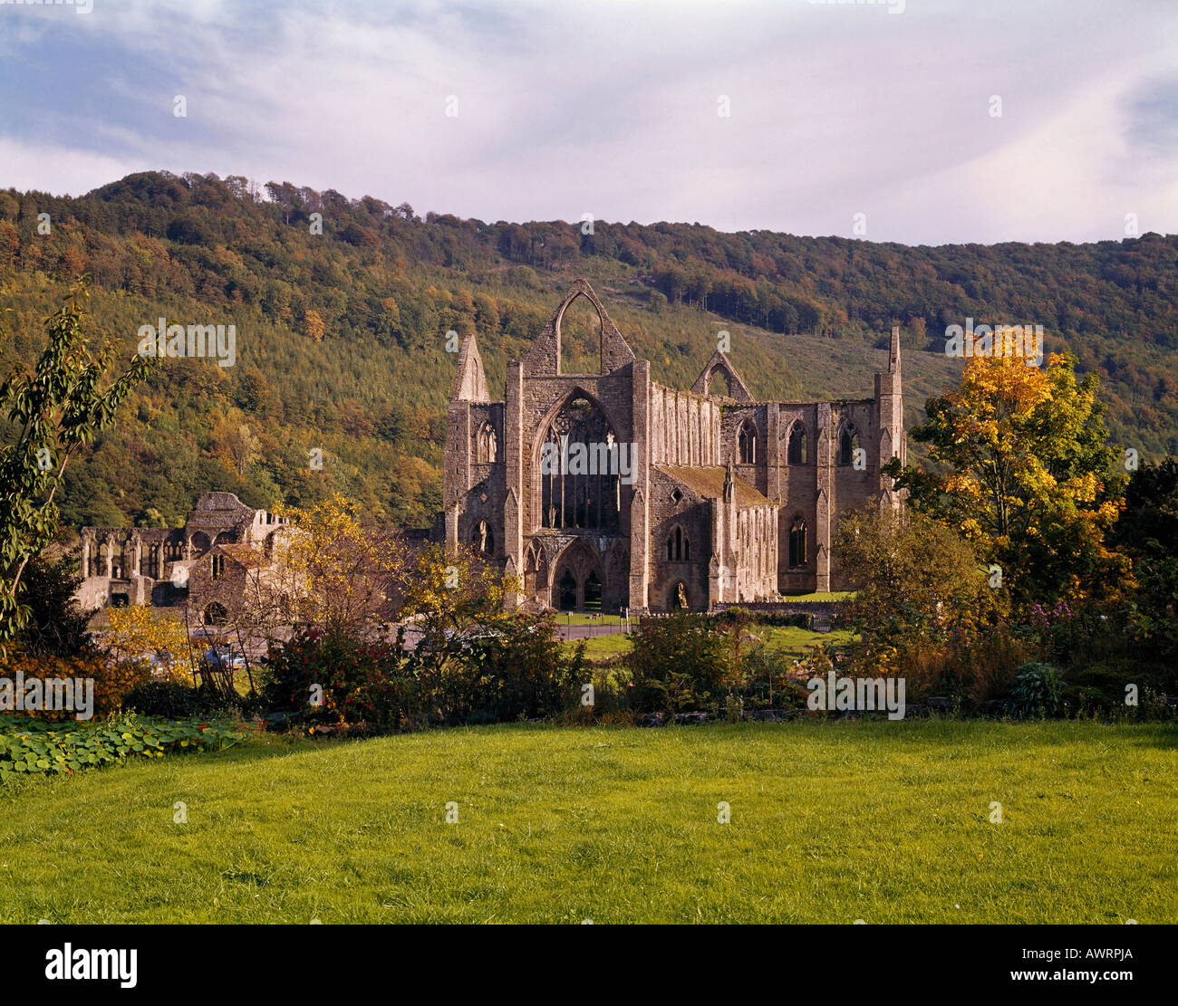 Sunny Autumn scene looking across green field to 12th Century Tintern ...