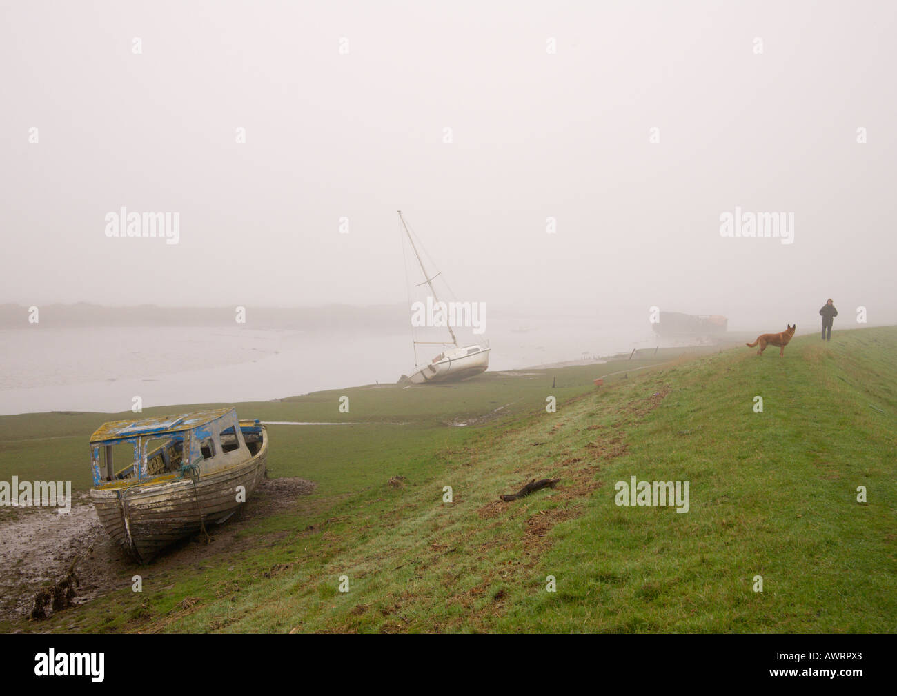 Eerie misty muddy riverbank scene with man walking his Alsatian dog ...