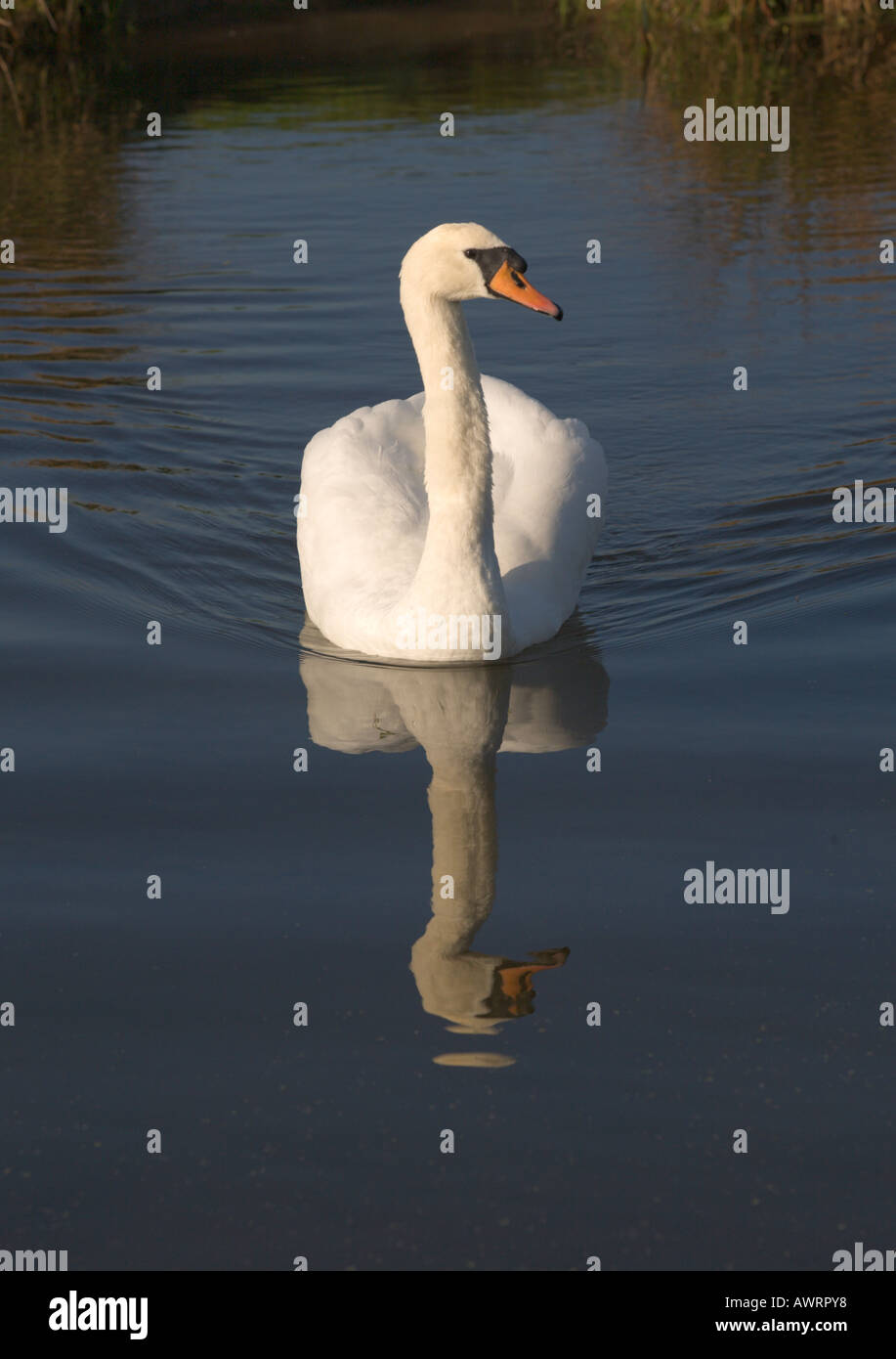 Englands most beautiful village hi-res stock photography and images - Alamy