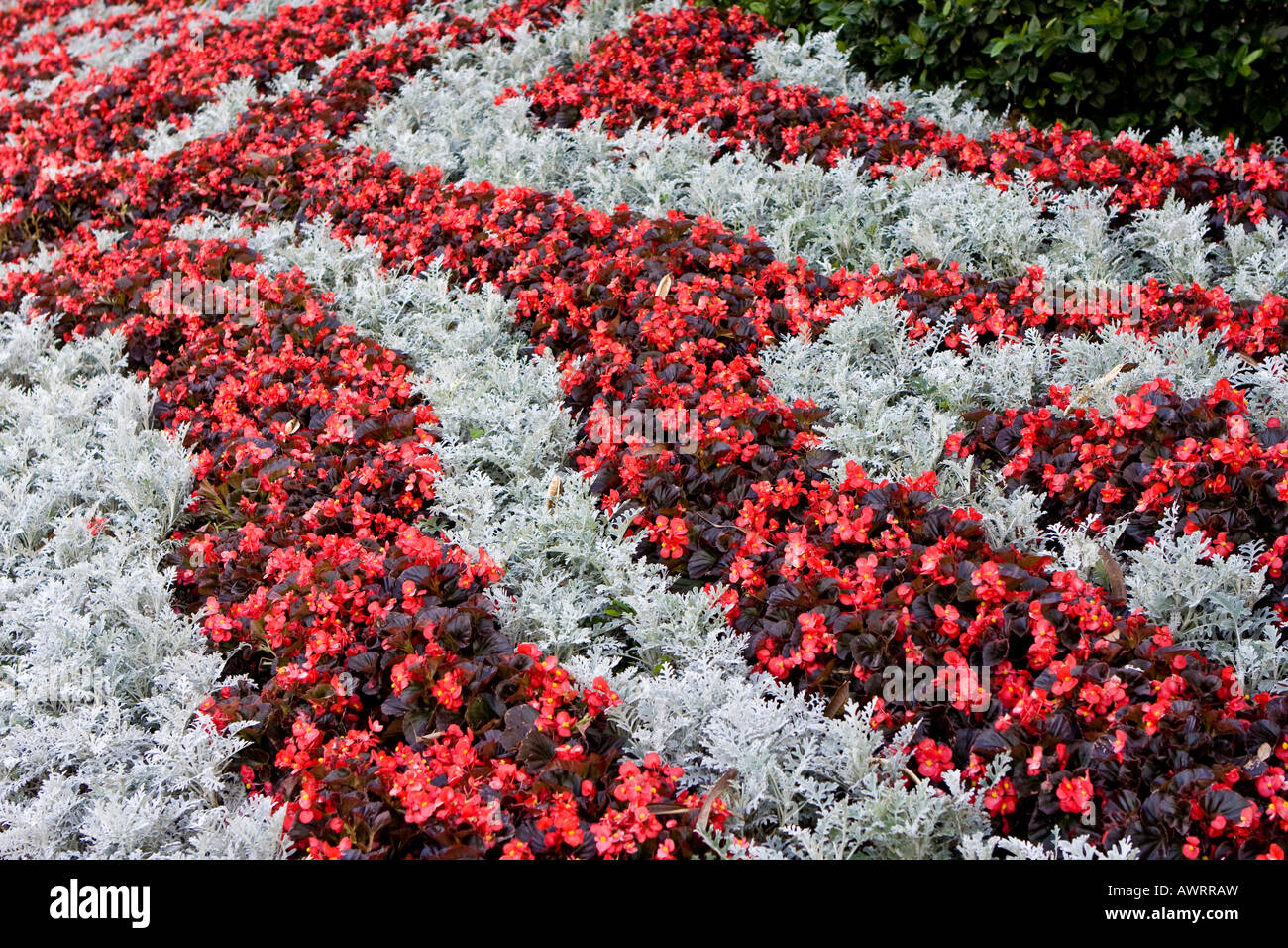 Red white design hi-res stock photography and images - Alamy