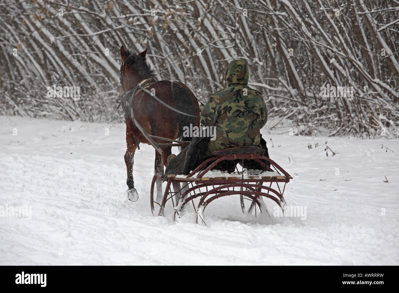 Russian carriage racing hi-res stock photography and images - Alamy