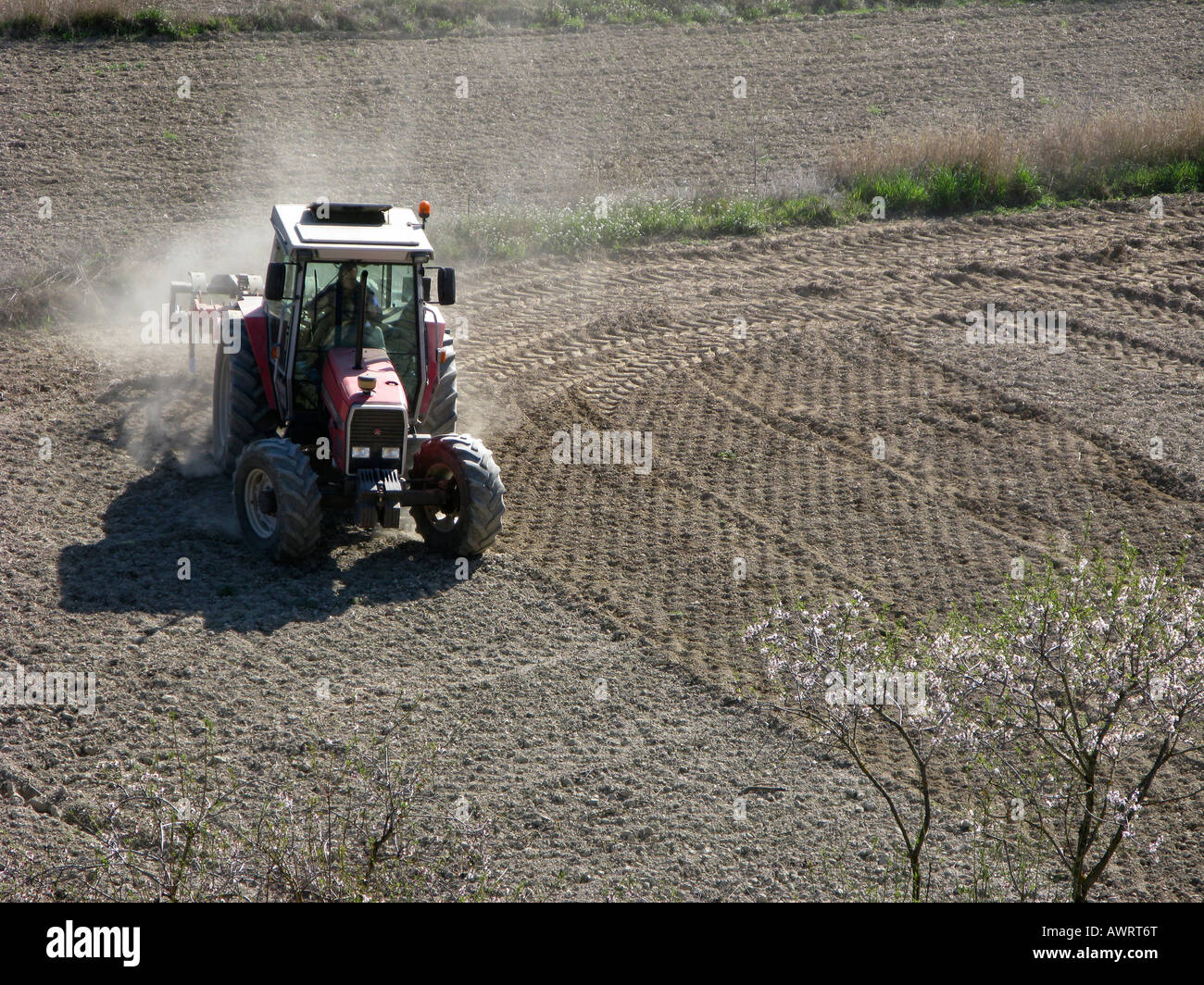 spring farming fields Stock Photo - Alamy