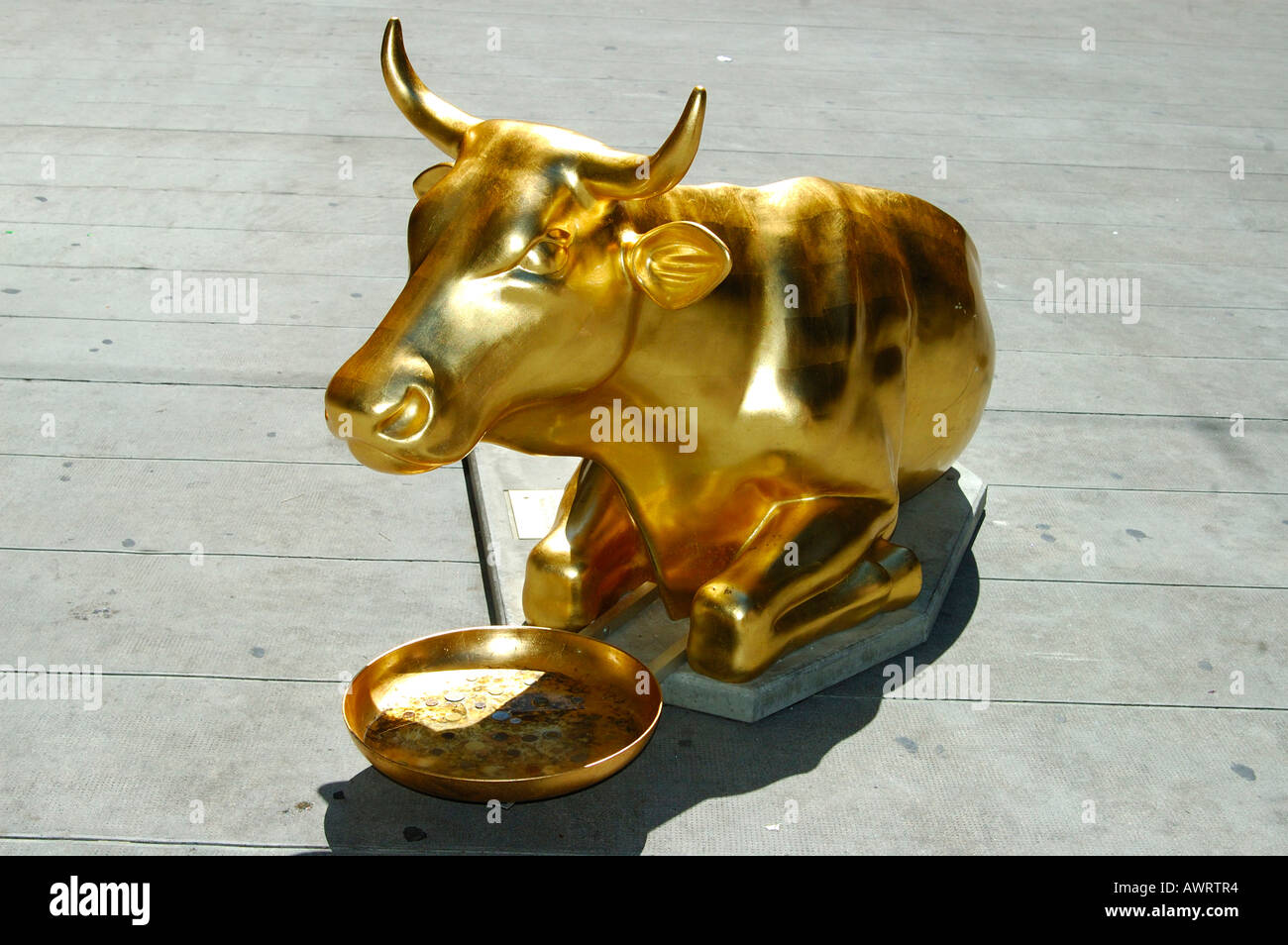 Golden Calf High Resolution Stock Photography and Images - Alamy