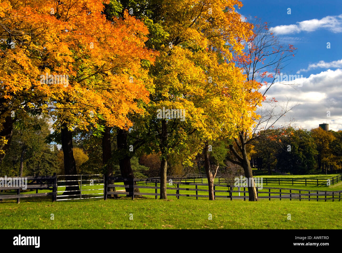 Autumn Farm Scenic Stock Photo - Alamy