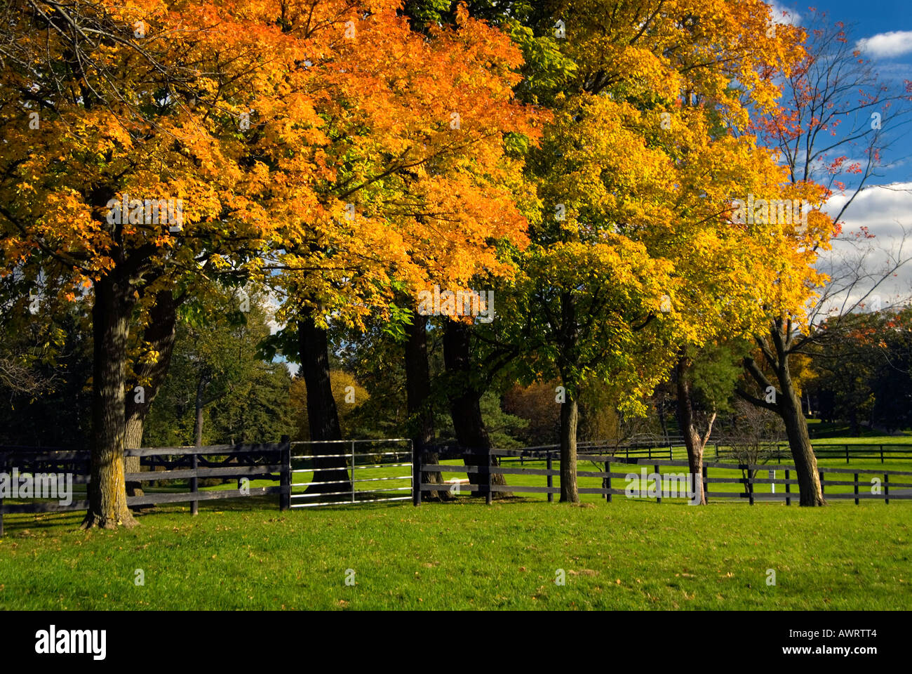 Autumn Farm Scenic Stock Photo - Alamy