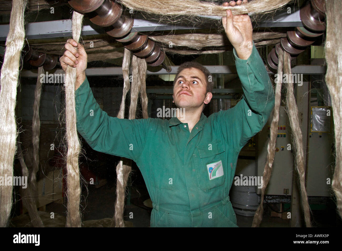 A worker untangles slivers of hackled flax coming out of the end of the ...