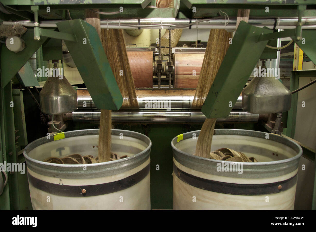 Slivers of hackled flax coming out of the end of the hackling line are ...