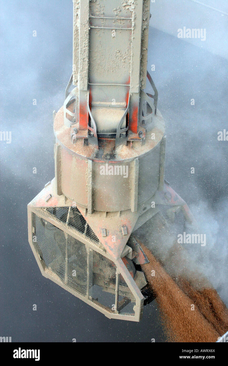 Wheat being loaded into the hold of the Isolda grain cargo ship at the ...