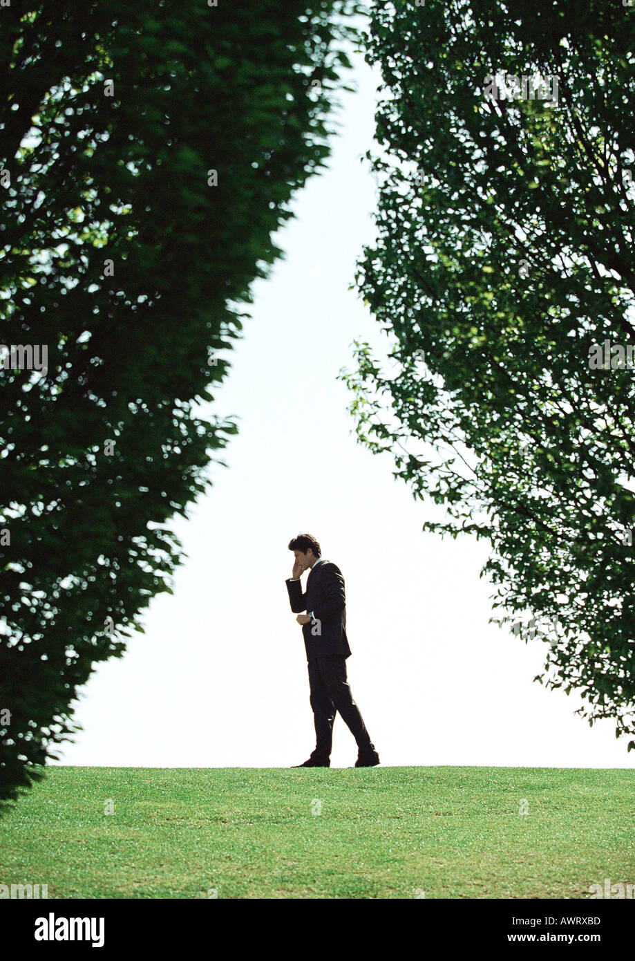 Businessman in park, long shot, trees in foreground Stock Photo - Alamy