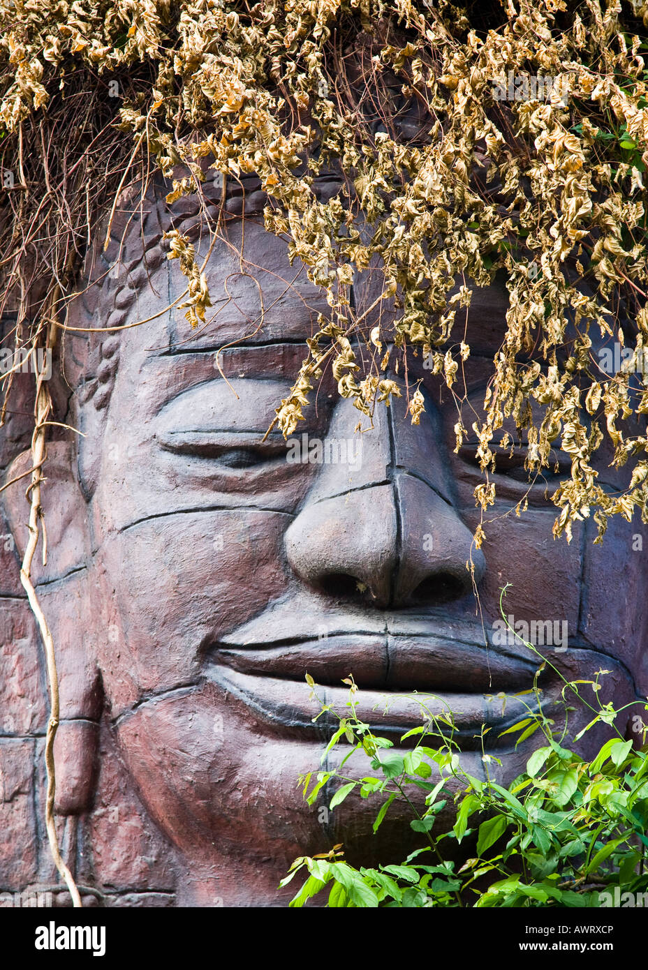 Stone statue face of Buddha in a wall behind some bushes in Phuket ...