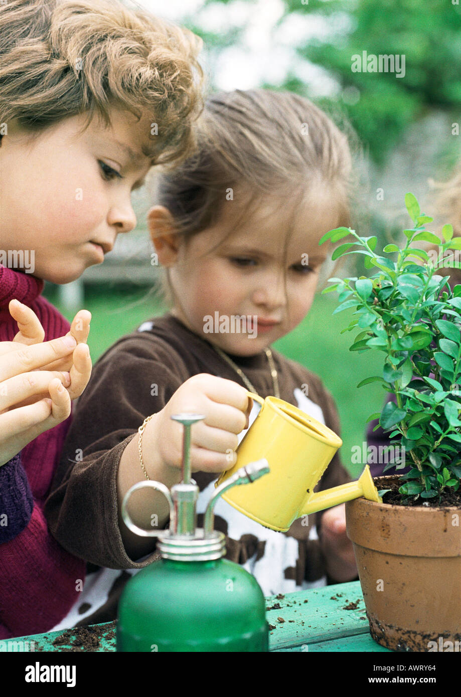 Two children watering plants, close-up Stock Photo - Alamy