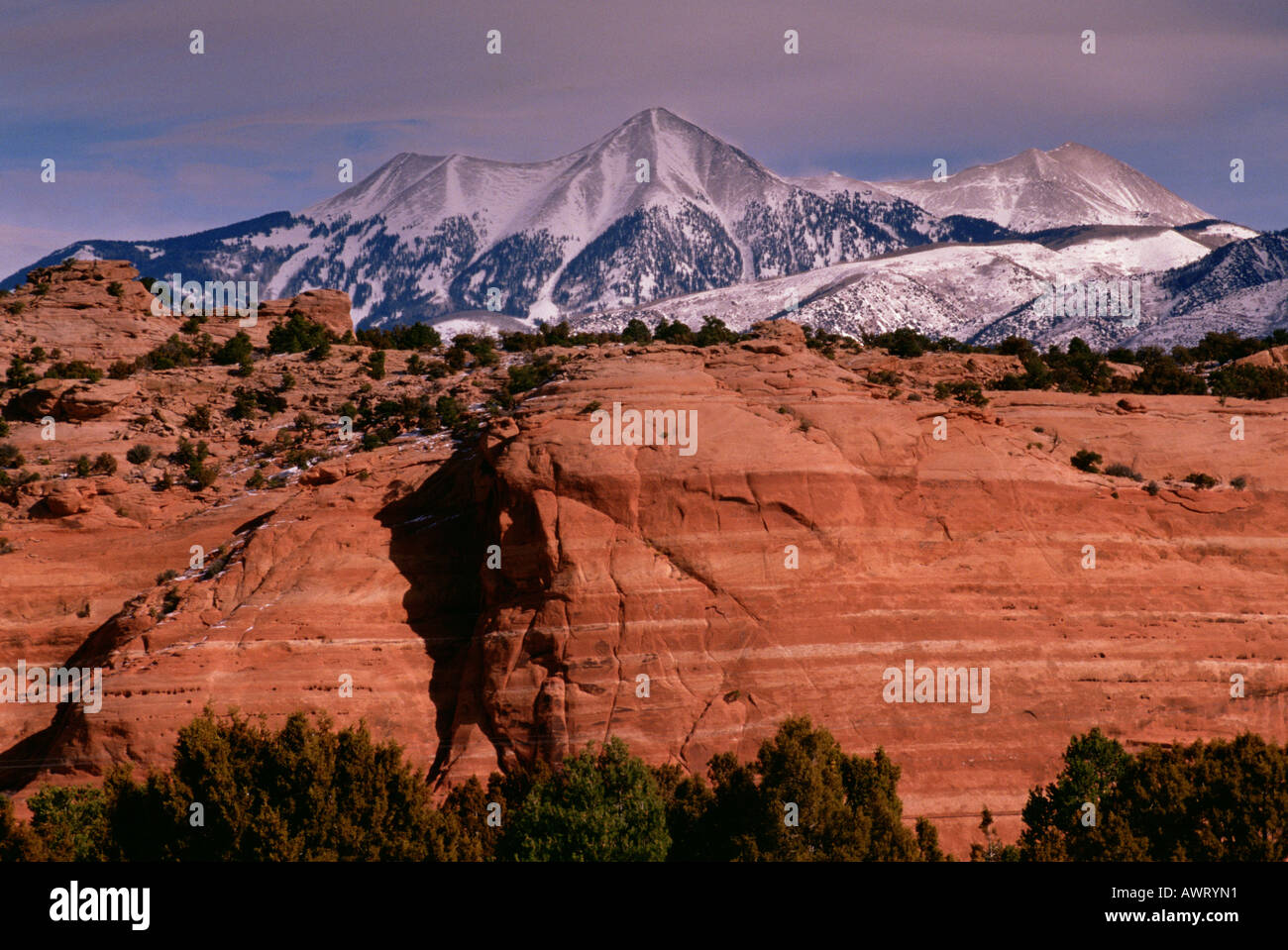 The La Sal Mountains near Moab Utah United States Stock Photo - Alamy